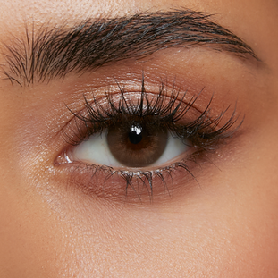 Nirvana Brown (3-Month) – Dimple Color