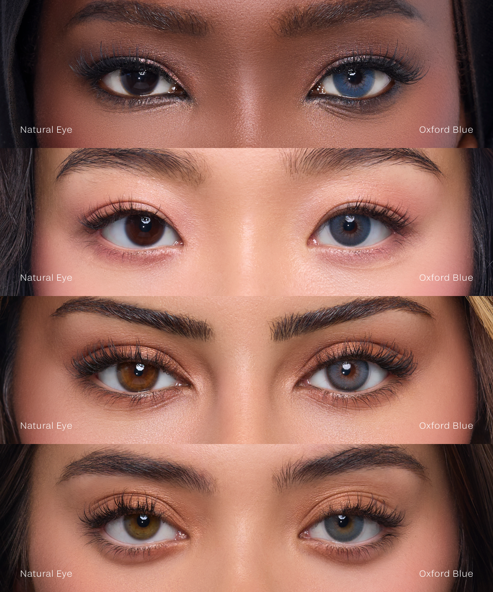 Oxford Blue Daily Color Contact Lenses | Dimple Color