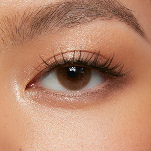 Piccolo Brown (1-Day) – Dimple Color