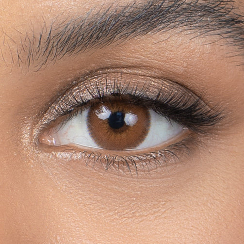 Brown Color Contacts | Sunset Brown - Dimple – Dimple Color