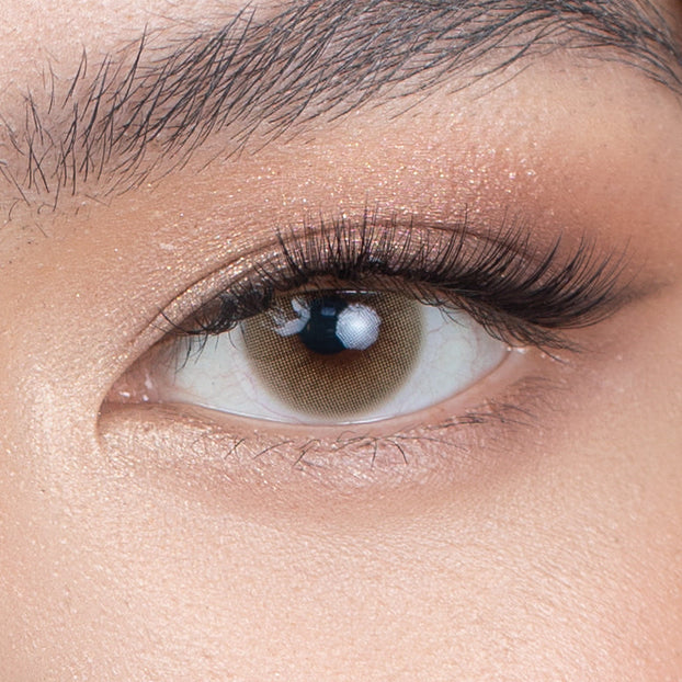 Natural Honey Color Contacts | Toasted Honey - Dimple – Dimple Color